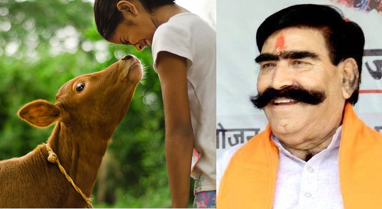 Rajasthan BJP MLA Gyan Dev Ahuja says cow killers are worse than terrorists