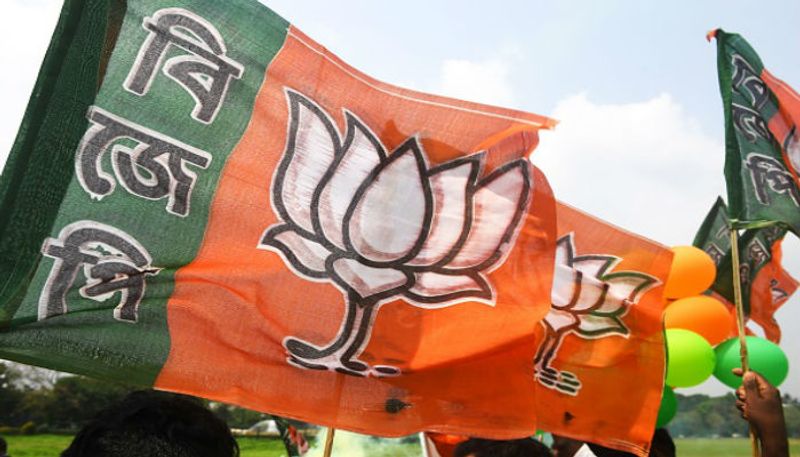 Lok Sabha elections 2024: BJP decides to go solo in Odisha, rules out alliance with BJD ...