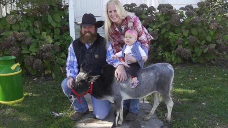 This is the world's smallest bull, recorded in the Guinness Book - this ...