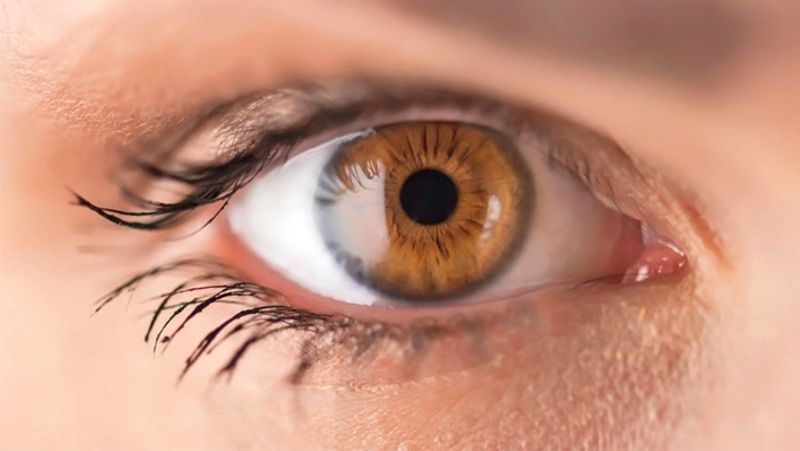 Women with these signs on their body are considered lucky | Women With ...