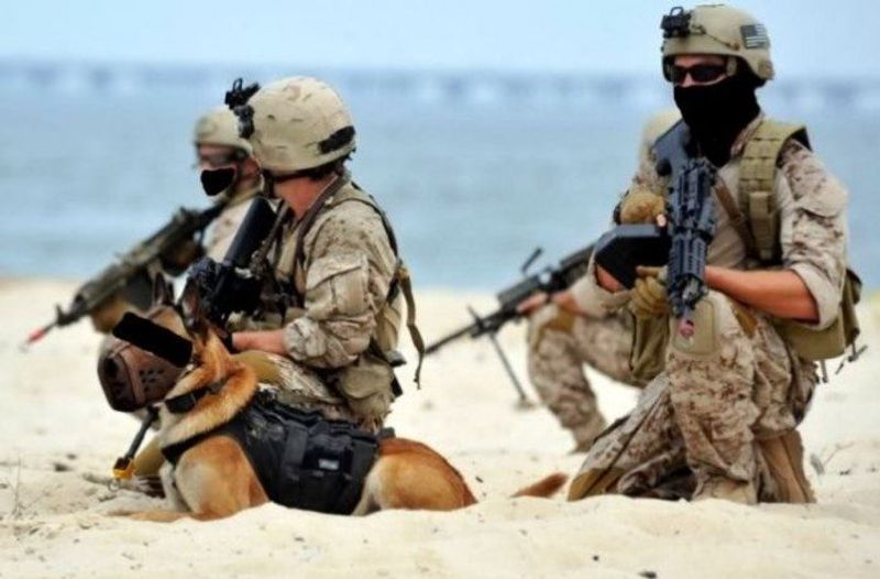 2 US Navy Seals go missing after covert operation against the Houthis, search operations ...