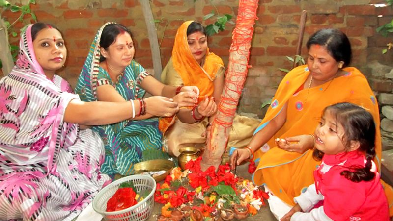 Goddess Lakshmi lives in Amla tree, worship this tree on Akshay Navami ...