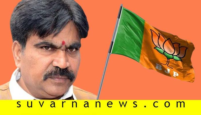 ಬಿಜೆಪಿಗೆ ರಾಜಿನಾಮೆ ನೀಡಿದ ಎಂಎಲ್ಸಿ ಆರ್. ಶಂಕರ್‌: ಪಕ್ಷೇತರ ಸ್ಪರ್ಧೆಗೆ ಸಿದ್ಧತೆ ...