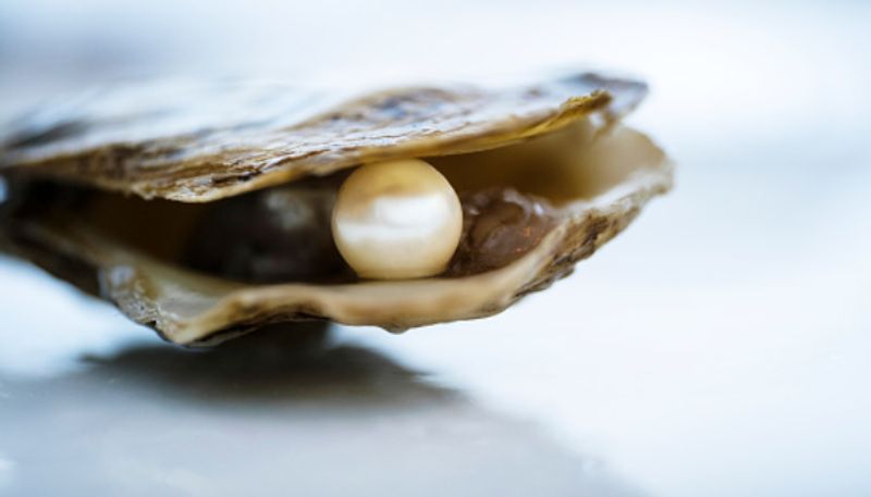 Pearl ring benefits and how to wear for astrological benefits | Asianet ...