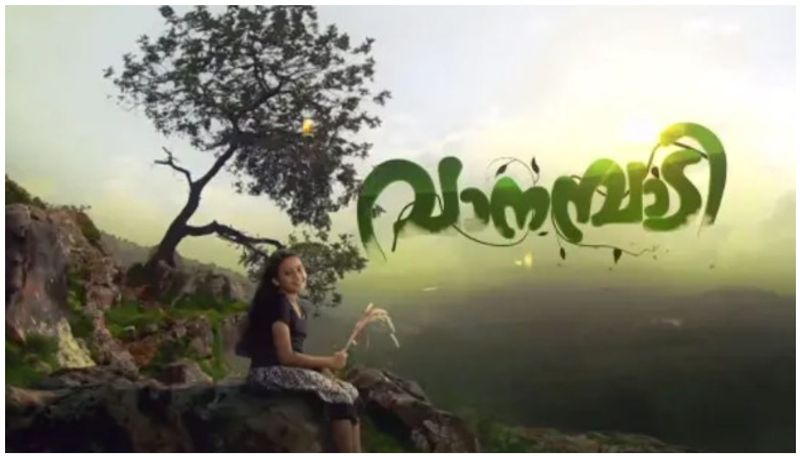 തംബുരുവിനെ വിട്ടുനല്‍കാനൊരുങ്ങി മോഹന്‍; വാനമ്പാടി റിവ്യു | Vanambadi ...