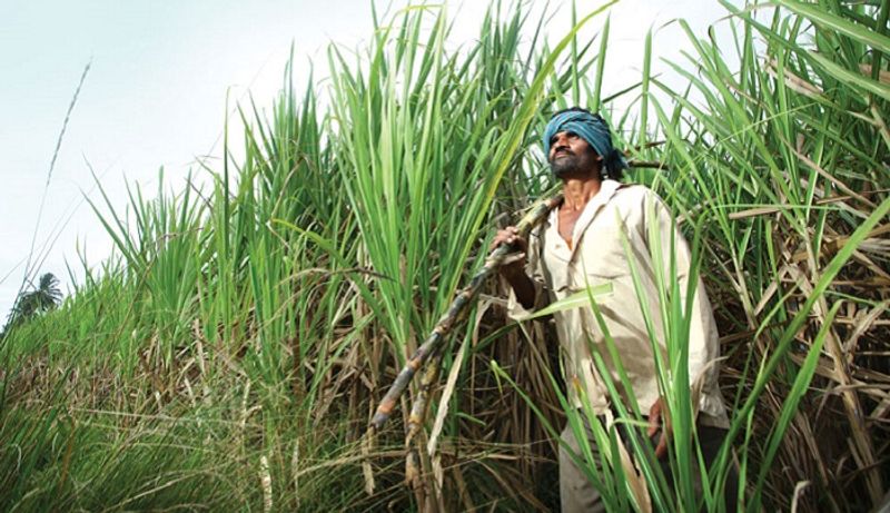 ಮೈಷುಗರ್‌ - ಪಿಎಸ್ಸೆಸ್ಕೆ ಖಾಸಗಿಗೆ ಗುತ್ತಿಗೆ | Govt to lease out Mysugar PSSK
