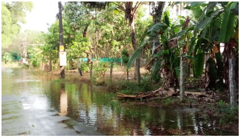 കനാൽ കവിഞ്ഞൊഴുകി ചാരുംമൂട്ടിൽ കൃഷി നാശവും വെളളക്കെട്ടും | water level ...