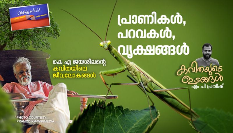 കെ. എ ജയശീലന്റെ കവിതയിലെ ജീവലോകങ്ങള്‍.| Literature kavithayile idangal ...