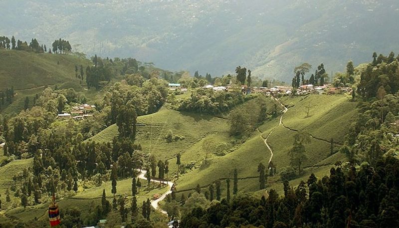 ঘুরে আসুন ইতিহাসের গন্ধমাখা ব্রিটিশ বাংলো, চা বাগান আর রঙিন অর্কিডের ...