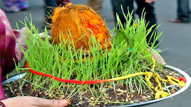 3 अप्रैल को इस आसान विधि से करें जवारे विसर्जन, ये हैं शुभ मुहूर्त | Do ...