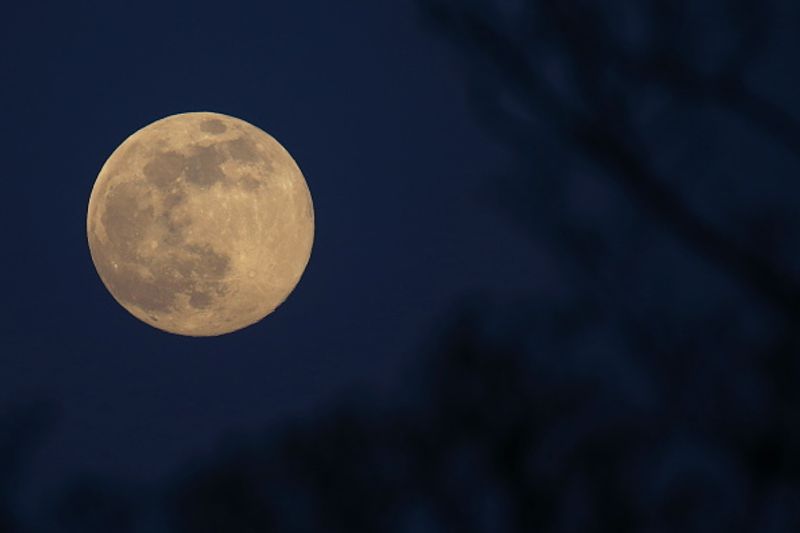 Supermoon 2022 : സൂപ്പർ ബക്ക് മൂൺ ദൃശ്യമാകും, എവിടെ കാണാം ഈ പ്രതിഭാസം