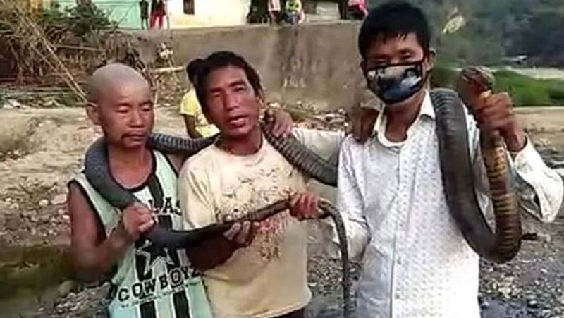 Fact check: Arunachal Pradesh tribals hunt snakes due to rice scarcity ...