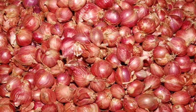 Small Onion Price Drop : சின்ன வெங்காயம் ஒரு கிலோ 10 ரூபாய்.! சரசரவென சரிவு- பெரிய வெங்காயம் ...