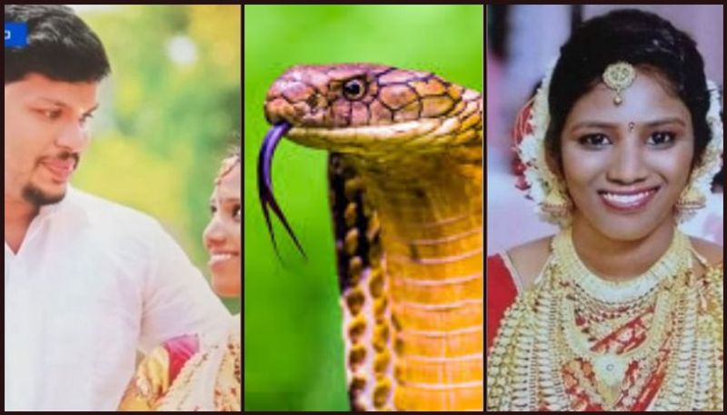 ഉത്രയുടെ കൊലപാതകം ചുരുളഴിഞ്ഞത് ശാസ്ത്രീയ അന്വേഷണത്തില്‍ | scientific inquiry reveals kollam ...