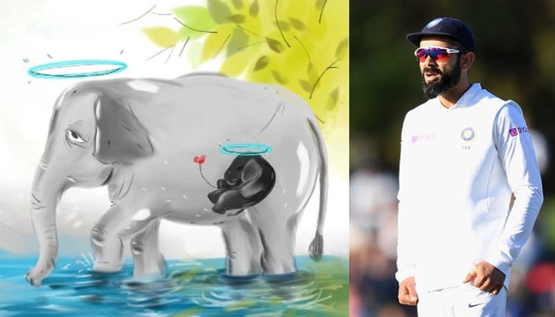 Kerala elephant killing: Virat Kohli wants ‘cowardly acts’ to end ...