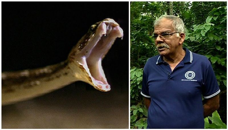 പറമ്പിലോ പരിസരത്തോ പാമ്പുണ്ടെങ്കില്‍ കൊത്തുറപ്പ്; 35 തവണ ...