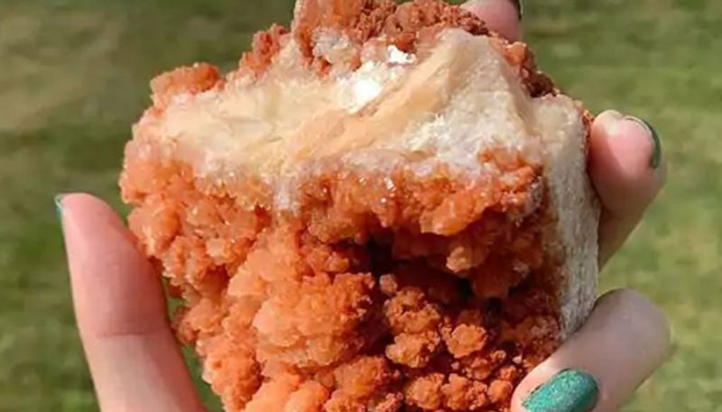 'ഫ്രൈഡ് ചിക്കന്‍ അല്ലേ?'; ആളെപ്പറ്റിക്കുന്ന ഫോട്ടോ... | photo of a ...