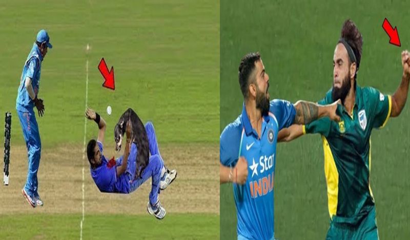 IPL से पहले क्रिकेट मैदान से वायरल हुई कुछ ऐसी PHOTOS, कहीं कुत्ते ने ...