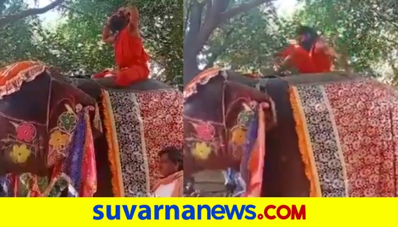 ಆನೆ ಮೇಲೆ ಯೋಗಾಸನ, ಉರುಳಿ ಬಿದ್ದ ಬಾಬಾ ರಾಮ್‌ದೇವ್‌! | Baba Ramdev falls off ...