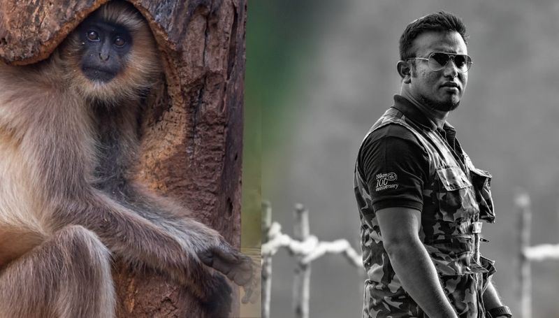 গাছের পেটে হনুমান, বাঘের ছবি তুলতে গিয়ে আশ্চর্য ঘটনার সাক্ষী বন্যপ্রাণ ...