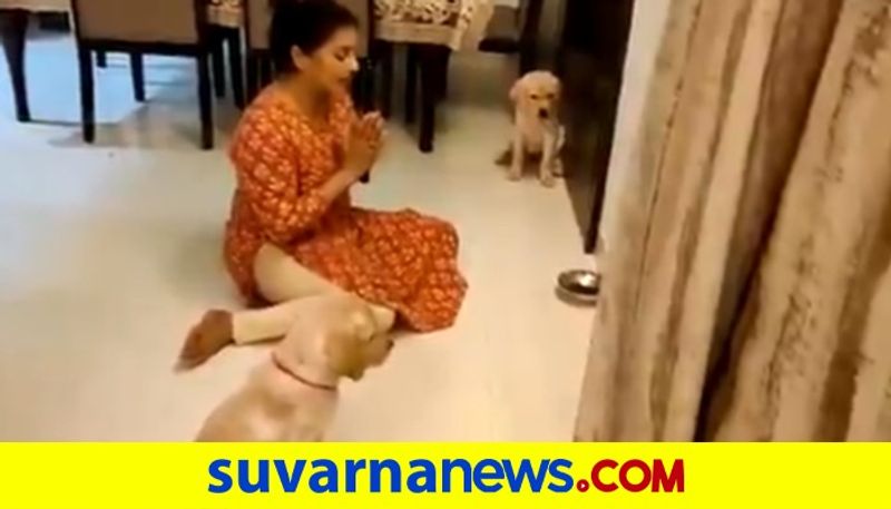 ಊಟಕ್ಕೂ ಮೊದಲ ಪ್ರಾರ್ಥನೆ..! ಈ ನಾಯಿಮರಿಗಳನ್ನು ನೋಡಿ | Woman teaches dogs to ...