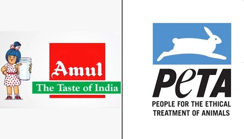 Explained: Behind the Amul Vs PETA battle over milk