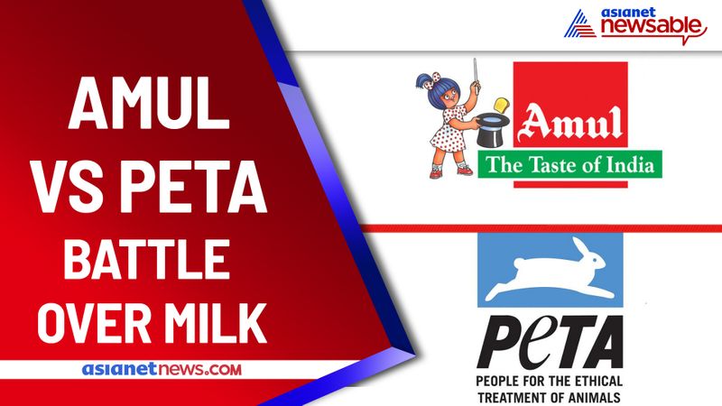 Explained: Behind The Amul Vs PETA Battle Over Milk - Asianet Newsable
