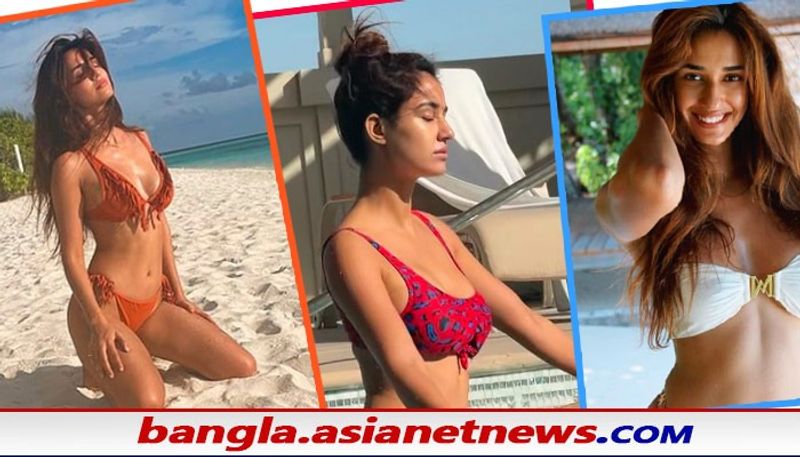 সমুদ্র সৈকত হোক বা স্যুইমিং পুল, বিকিনি শ্যুটে পার্ফেক্ট মডেল দিশা | disha patani stunning photo ...