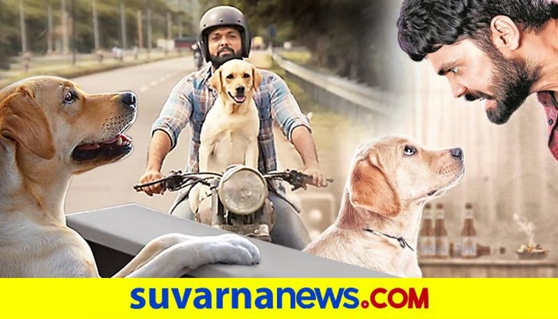 ಮನೆಯವ್ರಿಗೇ ಬೇಡವಾಗಿದ್ದ ನಾಯಿ, ಚಾರ್ಲಿ ಸಿನಿಮಾದ ಹೀರೋ ಆಯ್ತು! | How a ...