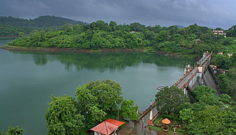 മരണക്കെണിയായി പീച്ചി ഡാം റിസര്‍വോയര്‍; ഏറ്റവുമൊടുവിൽ ജീവൻ നഷ്ടമായത് ...