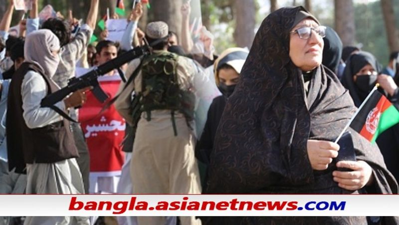 উদ্ধত বন্দুকের সামনে বুক চিতিয়ে প্রতিবাদী আফগান মহিলা - সাবধান তালিবান, ইতিহাসে উঠল এই ছবি ...