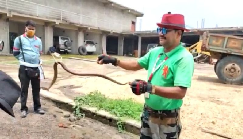 Snake Saver Ansari travels around the state, সাপ না মেরে জঙ্গলে ছেড়ে ...