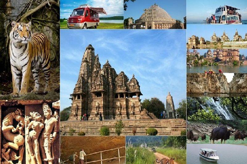 MP Foundation Day: : विश्व में खास पहचान रखता है भारत का 'दिल', आज मना ...