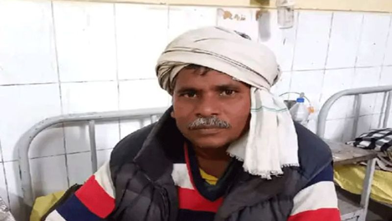 Shocking: Rajasthan में शराब पार्टी के बीच निकला सांप, तीनों दोस्तों ने ...