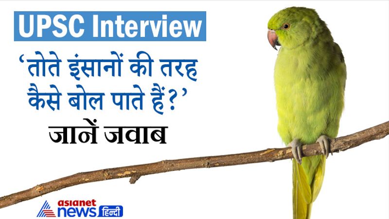 Upsc Interview Tricky Questions: तोते इंसानों की तरह कैसे बोल पाते हैं ...