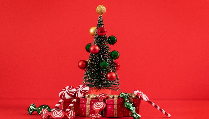 Interesting Christmas Facts: বন্ধু এবং পরিবারকে প্রভাবিত করার জন্য জেনে ...