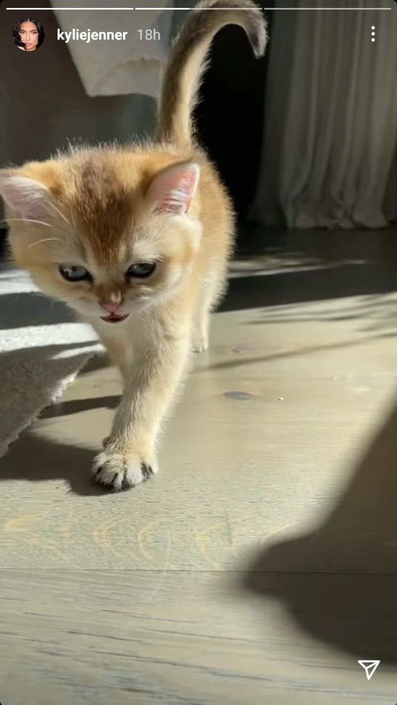 Kim Kardashian's sister Kylie Jenner turns MOM again? Has she secretly ...