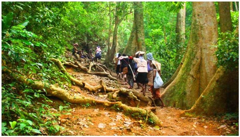 Sabarimala Pilgrimage : കരിമല പാത തീര്‍ത്ഥാടകര്‍ക്കായി തുറന്നു; യാത്ര ...