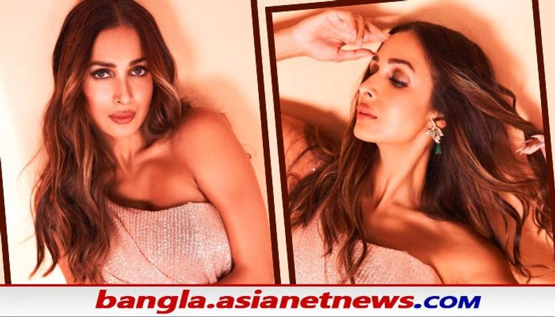 Bold Beauty Malaika: একের পর এক হট পোজে মাল্লা ঝড়, ভক্তদের ঘুম উড়িয়ে দিন দিন আরও সুন্দর ...