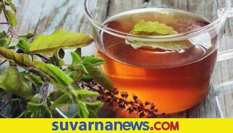 Tulsi Tea Health Benefits: ತುಳಸಿ ಚಹಾ ಕುಡಿಯುವುದರಿಂದ ಸಿಗುವ ಆರೋಗ್ಯ ...