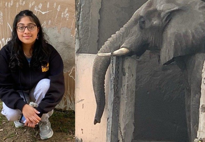 Shankar the Elephant : ഇണ, അല്ലെങ്കില്‍ സമാധാനജീവിതം, ശങ്കര്‍ എന്ന ...