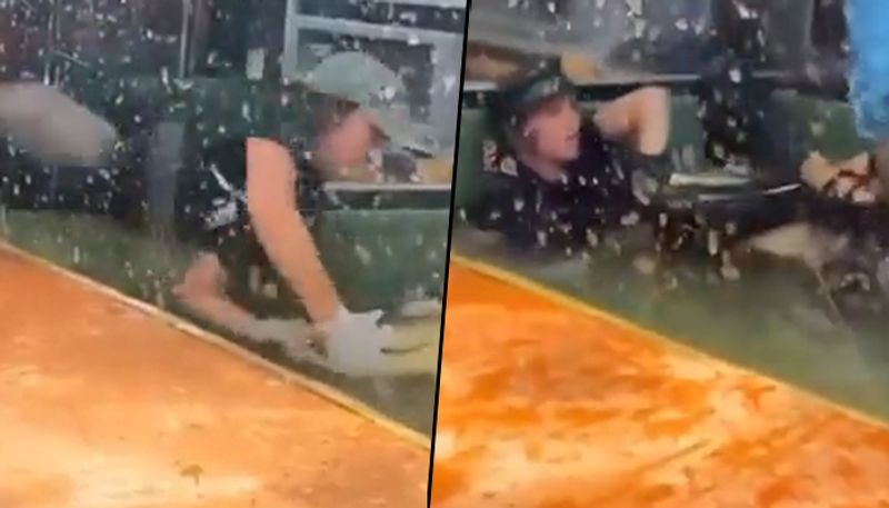 Alligator bites woman’s hand during feeding; here’s what happened next ...