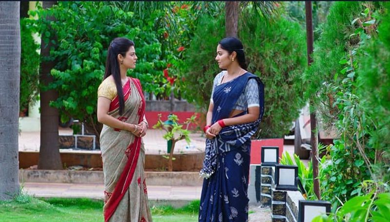 Devatha: సత్య ముందు నిజం బయటపెట్టిన ఆదిత్య.. తన చెల్లికి పిల్లలు కారని బాధపడుతున్న రాధ! | Sathya ...