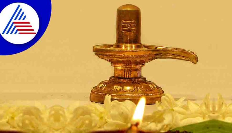 Types Of Shiva Lingam, Varieties Of Shiva Lingams – HARO