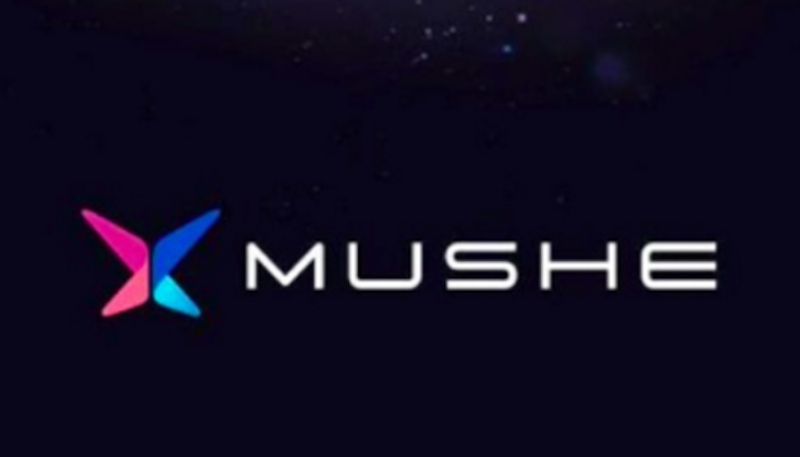 Explore Mushe Token Today And Watch it Rise in Comparison to ApeCoin ...