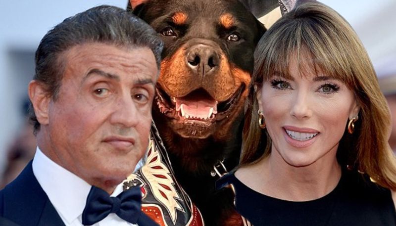 Sylvester Stallone, Jennifer Flavin divorce: Did a Rottweiler dog ...