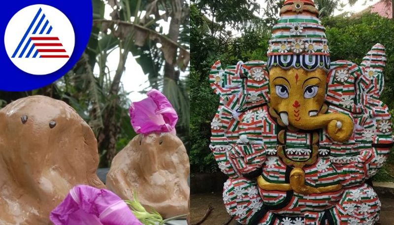 Ganesh Chaturthi: ಗಿಡವಾಗಿ ಅರಳುವ ಅಪರೂಪದ ಬೀಜ ಗಣಪ; ಬಳ್ಳಾರಿಗೆ ಹೊರಟ ಸುಂದರ ...