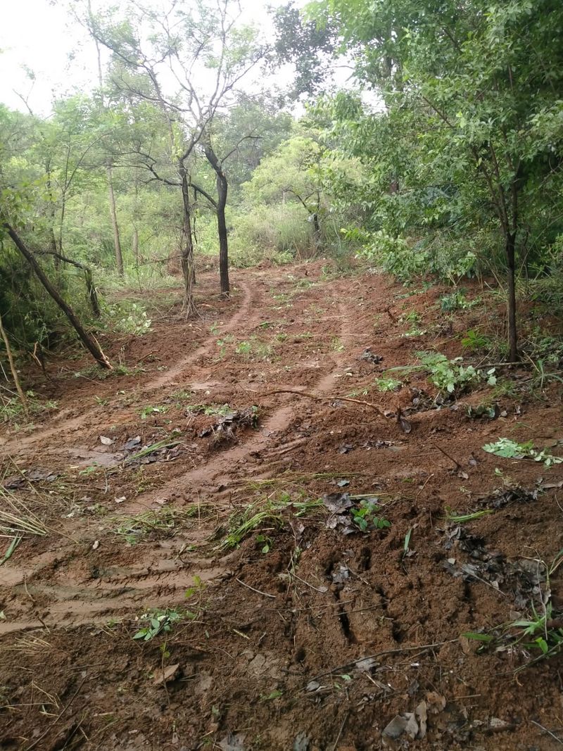 Bangalore University: ಅಪರಿಚಿತರಿಂದ ಬೆಂವಿವಿ ಜಾಗ ಕಬ್ಜ ಯತ್ನ - Attempt to ...