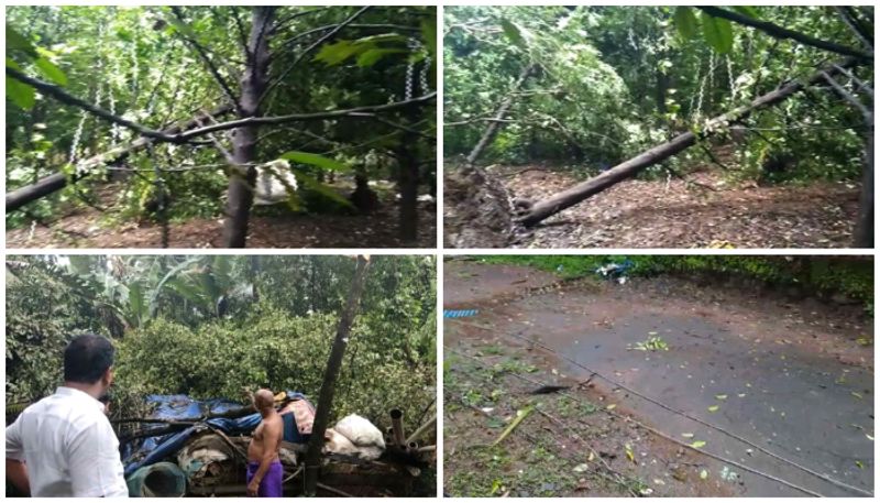 Kerala Rain : തൃശൂരിൽ മിന്നൽ ചുഴലി , വൻ നാശനഷ്ടം - heavy wind in ...