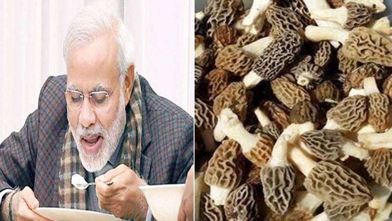 Narendra Modi birthday: 72 साल की उम्र में भी 52 वाली तंदुरुस्ती, 30 ...